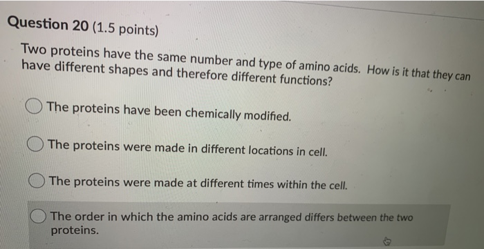 Do proteins have the same number and type of amino acids How is it that they can have different shapes and therefore different functions?