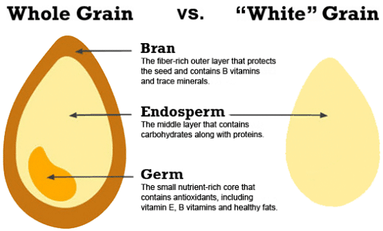 Do refined grains cause weight gain?