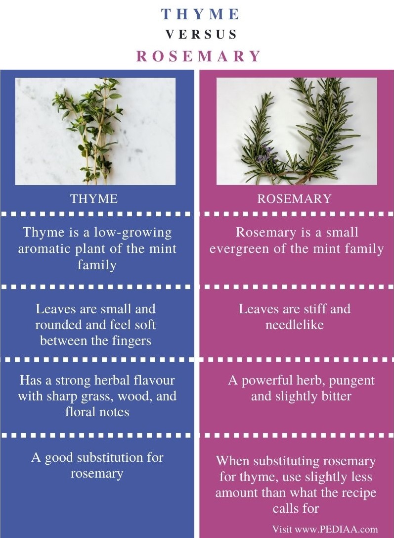 Do rosemary and thyme taste the same?