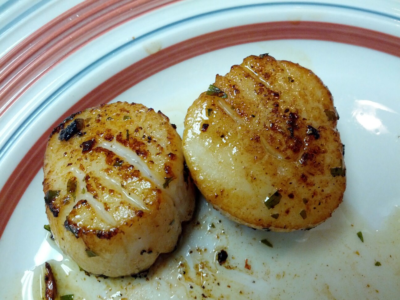 Do scallops feel pain Reddit?