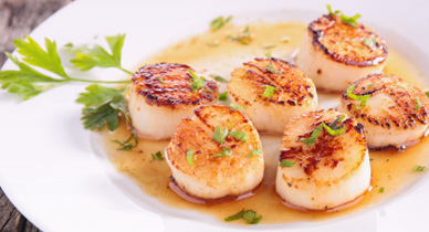 Do scallops have high cholesterol?
