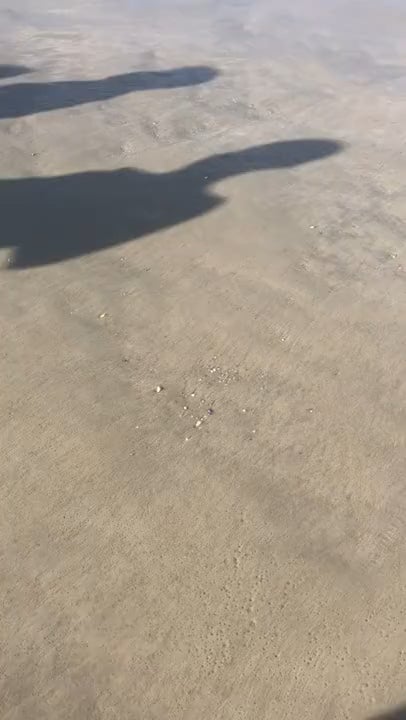 Do shells appear out of sand?
