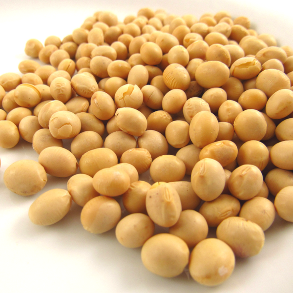Do soybeans need to be organic?