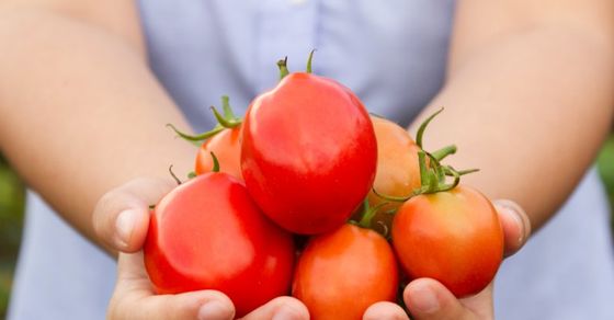 Do tomatoes raise blood sugar levels?