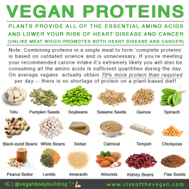 Do vegans get more protein?