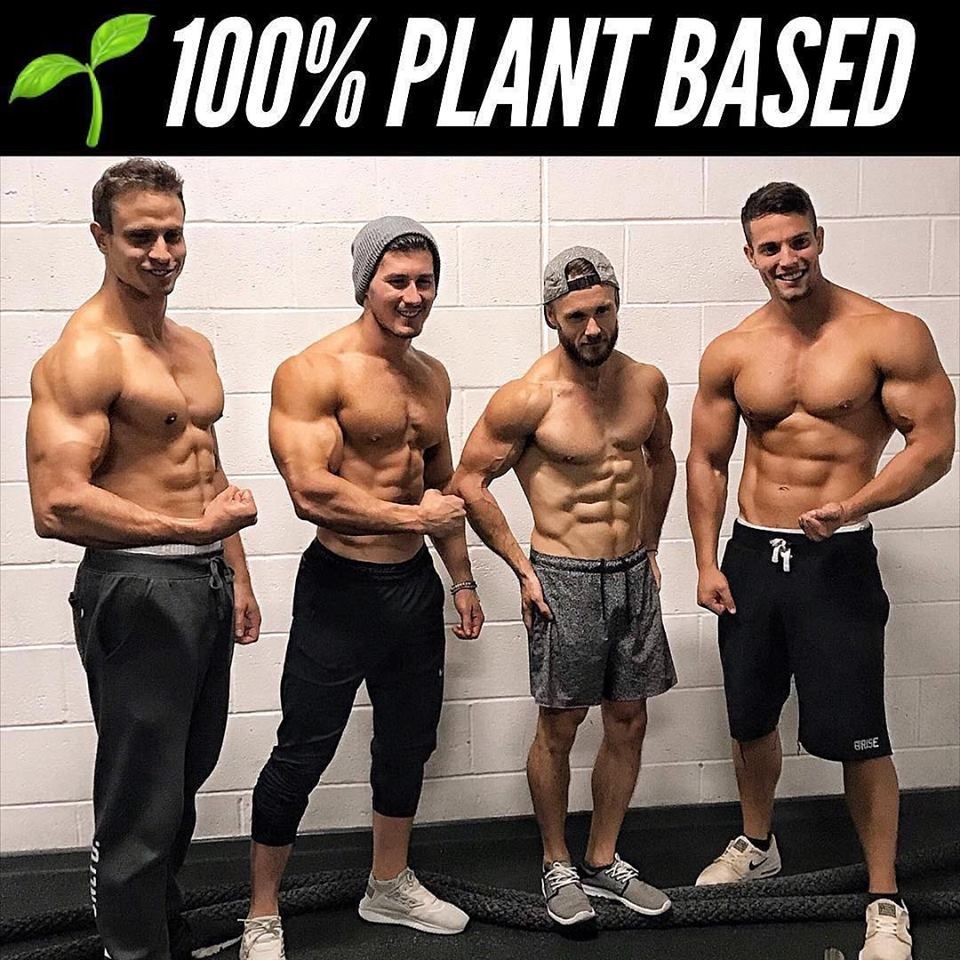 Do vegans have less muscle?