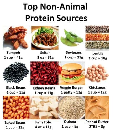 Do vegans lack in protein?