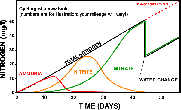 Do water changes remove good bacteria?