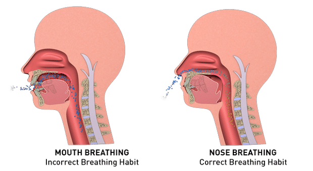 Do we naturally breathe through your nose?