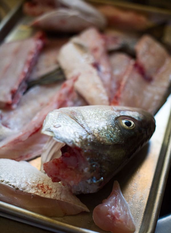 Do you blanch fish bones before making stock?