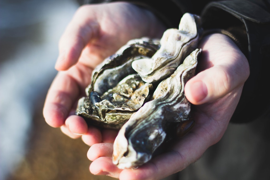 Do you clean oyster shells before shucking?