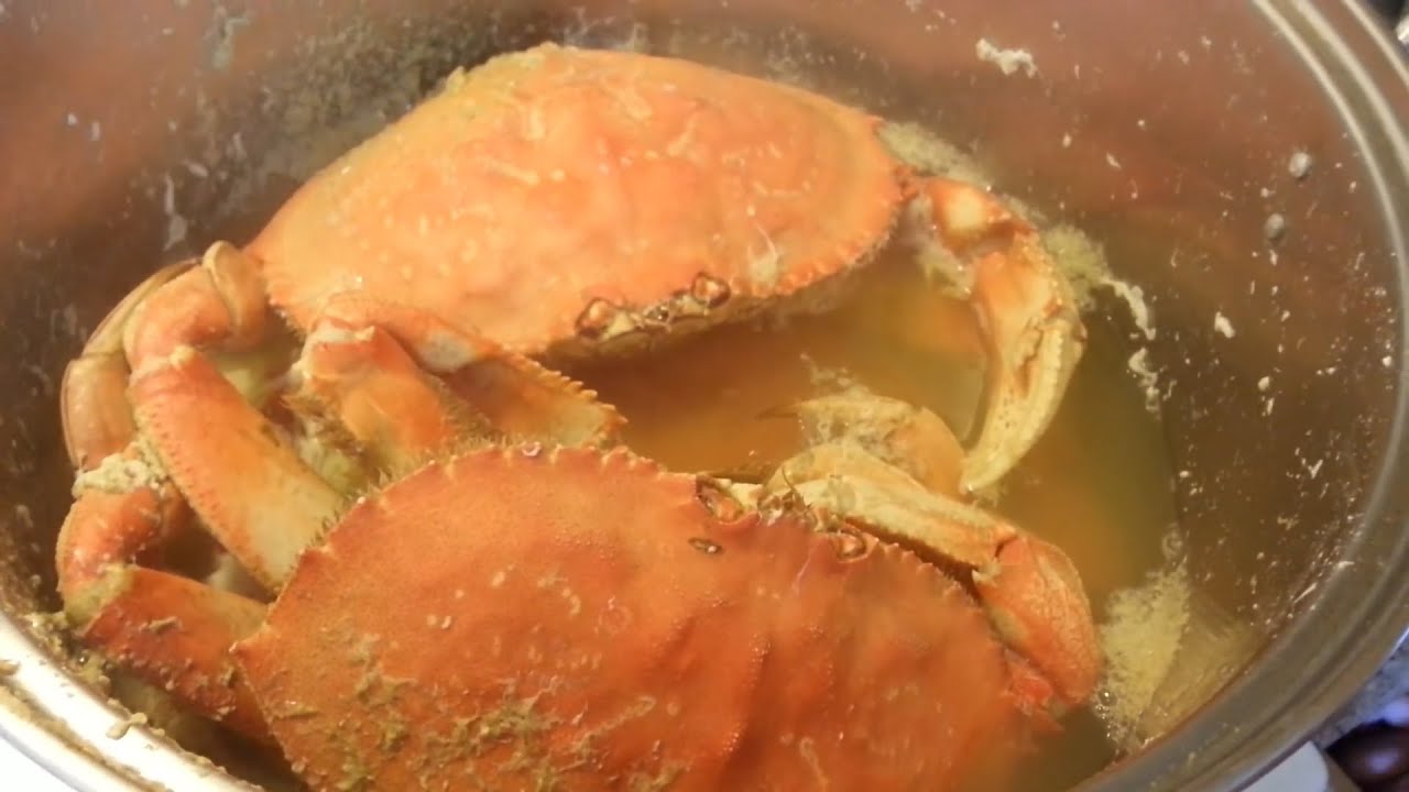 Do you cook a crab alive?