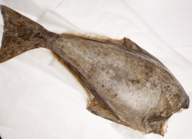 Do you cook halibut with skin on or off?