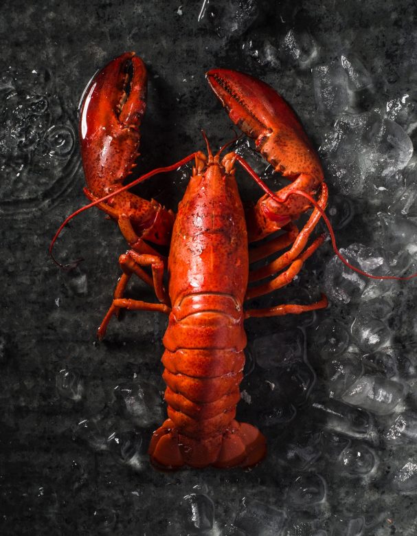 Do you cook lobster upside down?