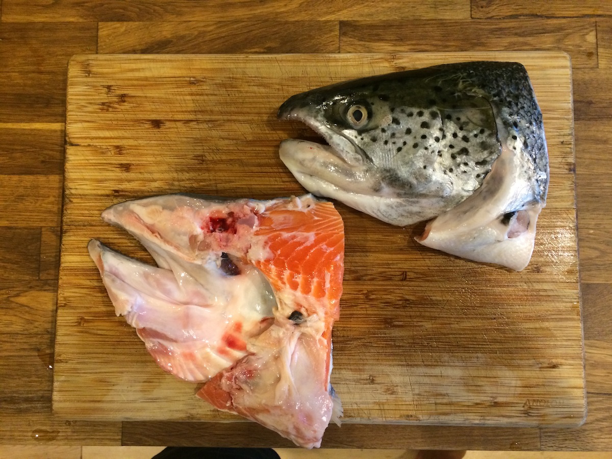 Do you eat the head of a salmon?