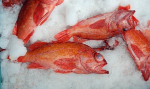 Do you eat the skin on rockfish?