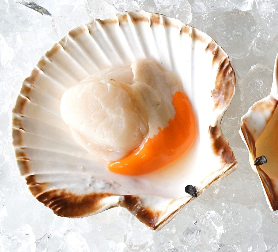 Do you eat the yellow part of scallops?