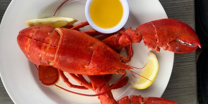 Do you eat whole lobster hot or cold?