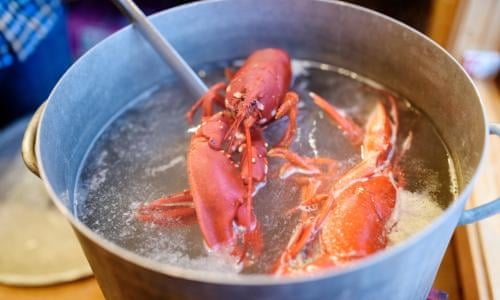 Do you have to cook a crab alive?