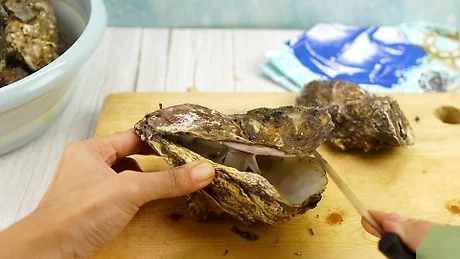 Do you have to wash oyster shells?