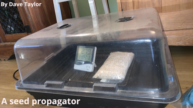 Do you need an incubator for tempeh?