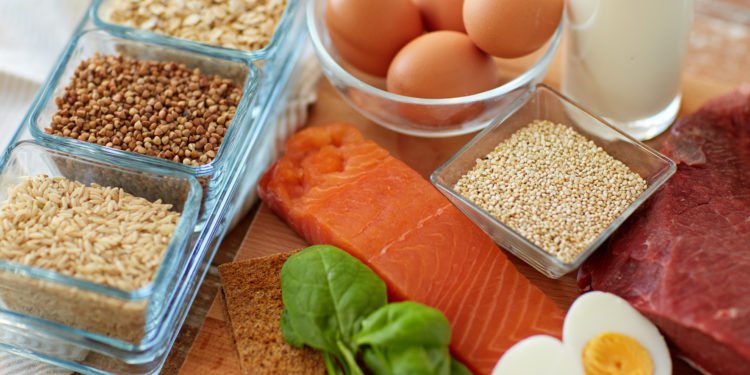 Do you need enough protein to lose weight?