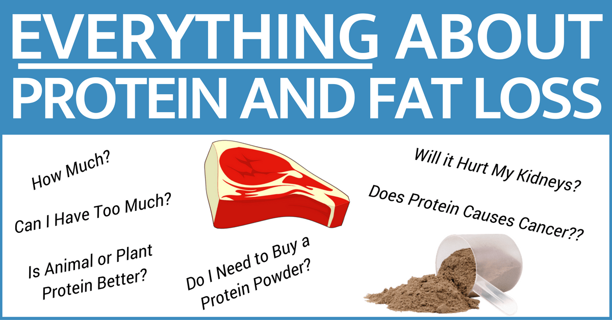 Do you need protein to burn fat?