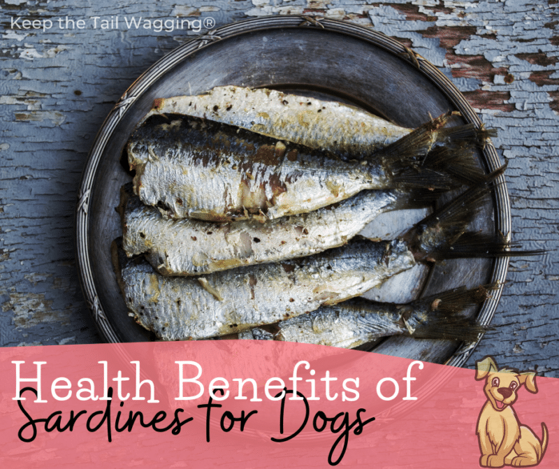 Do you need to debone sardines for dogs?
