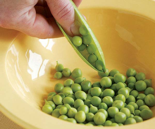 Do you need to shell fresh peas?
