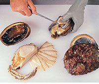 Do you need to Tenderise abalone?