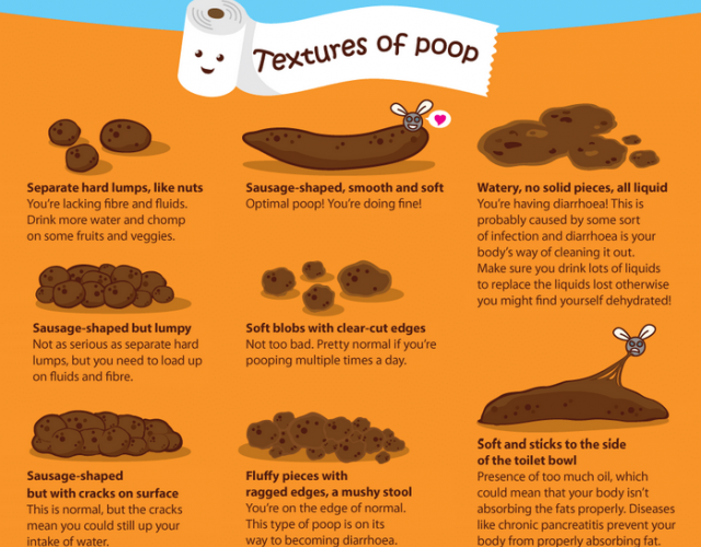 Do you poop out fiber?