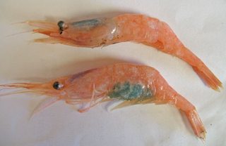Do you remove the Roe from shrimp before cooking?
