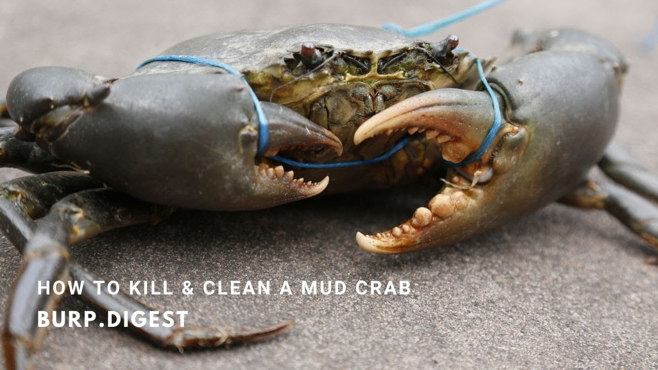 Do you soak blue crabs before cooking?