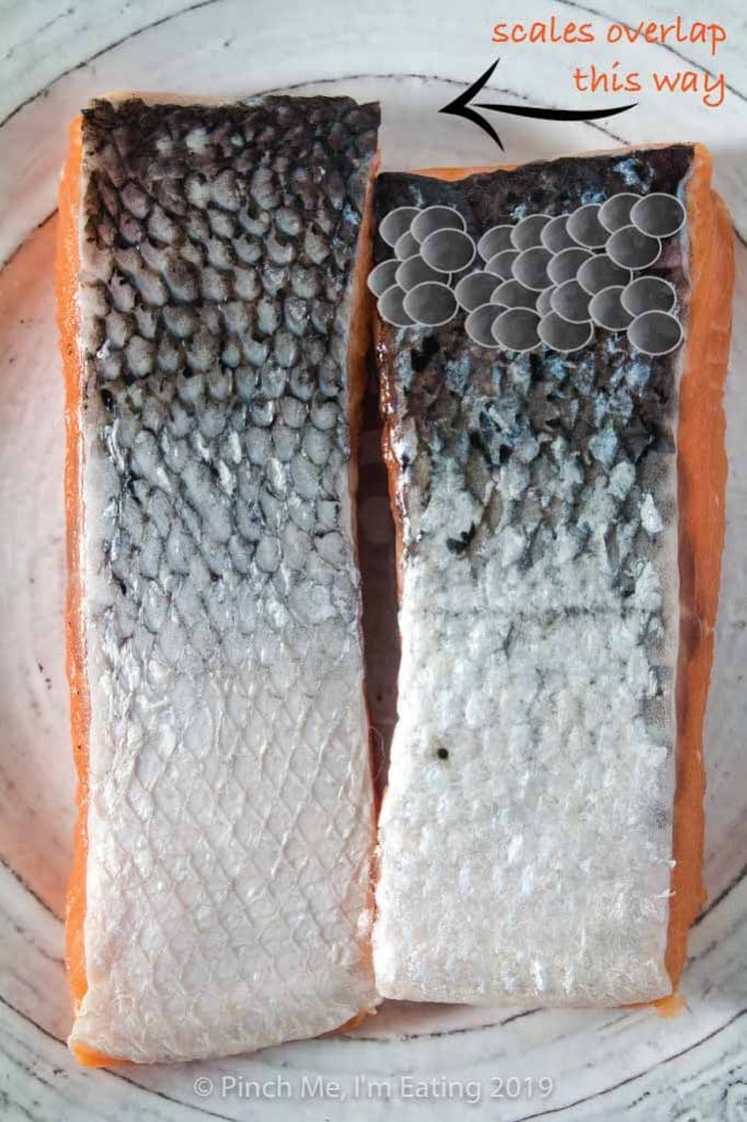 Does a salmon have scales?