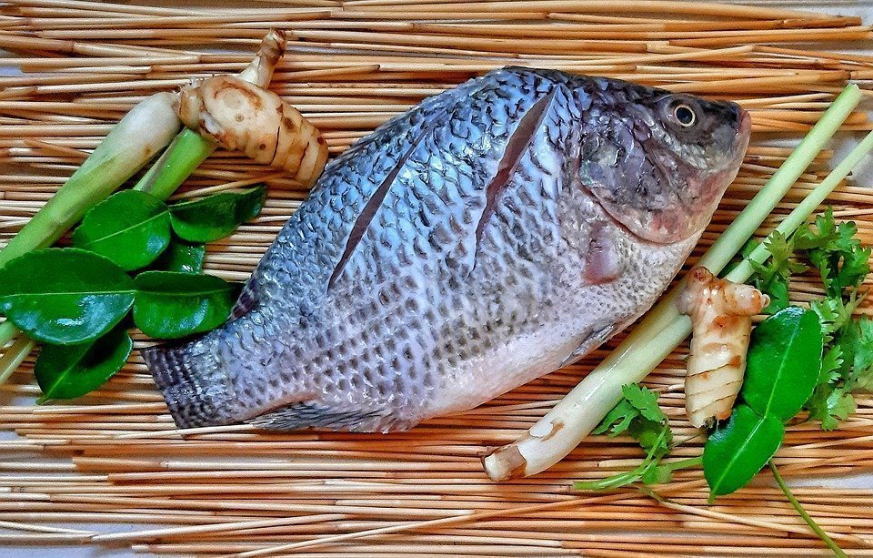 Does all tilapia come from China?