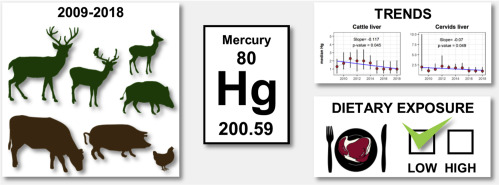 Does beef contain mercury?