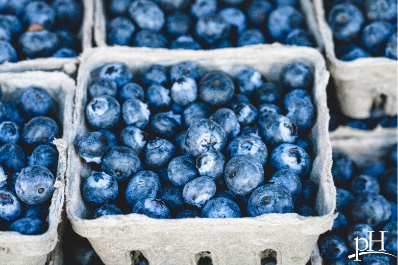 Does blueberries increase memory?