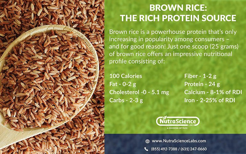 Does brown rice contain any protein?