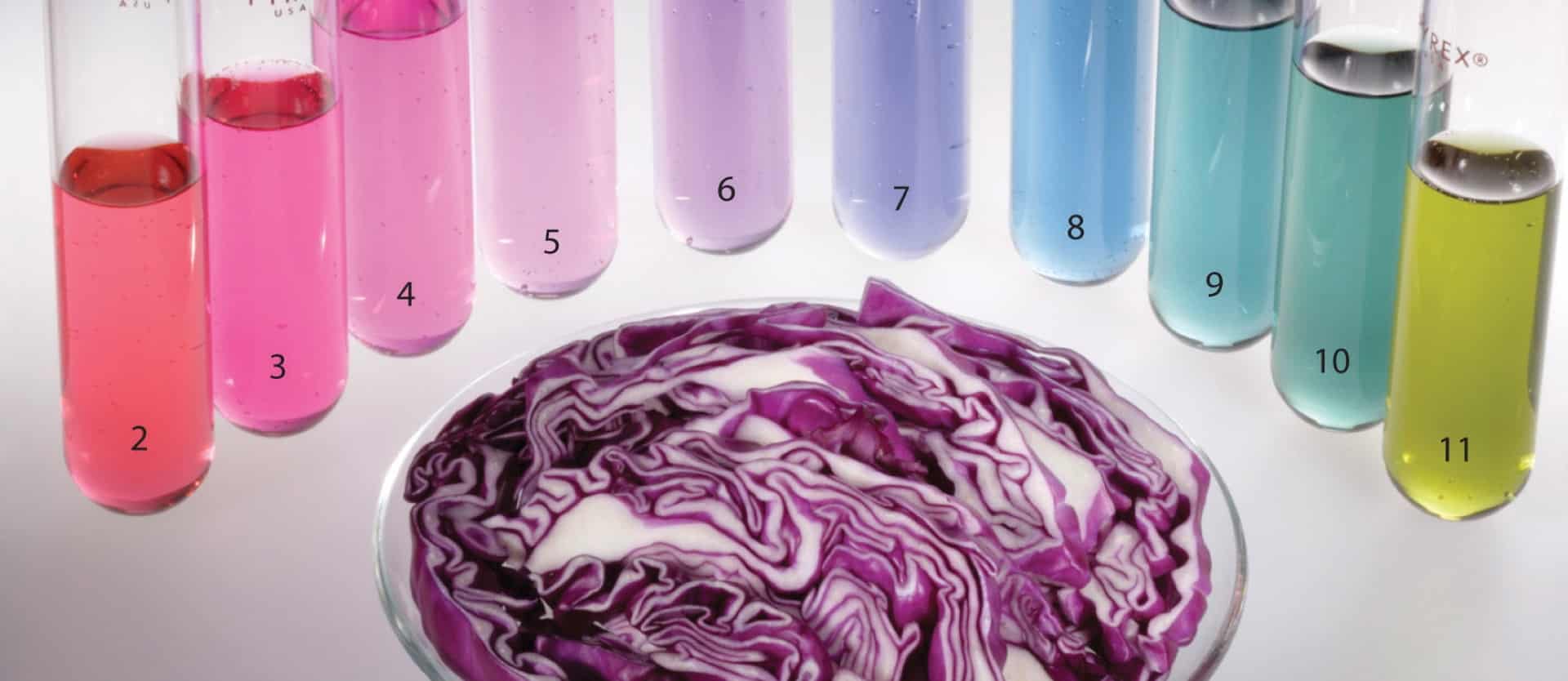 Does cabbage affect your urine?