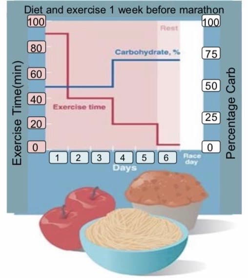 Does carb loading improve performance?