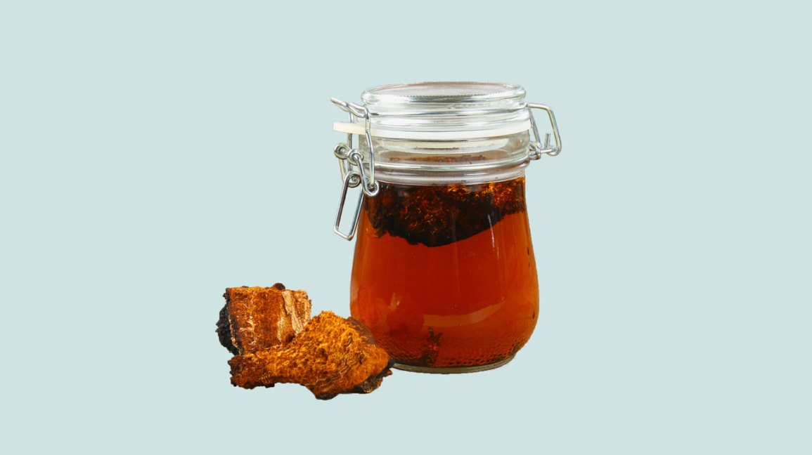 Does chaga help with infection?