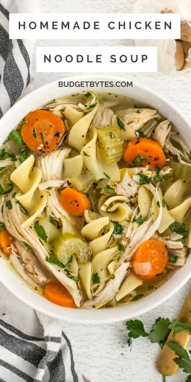 Does chicken noodle soup have meat in it?