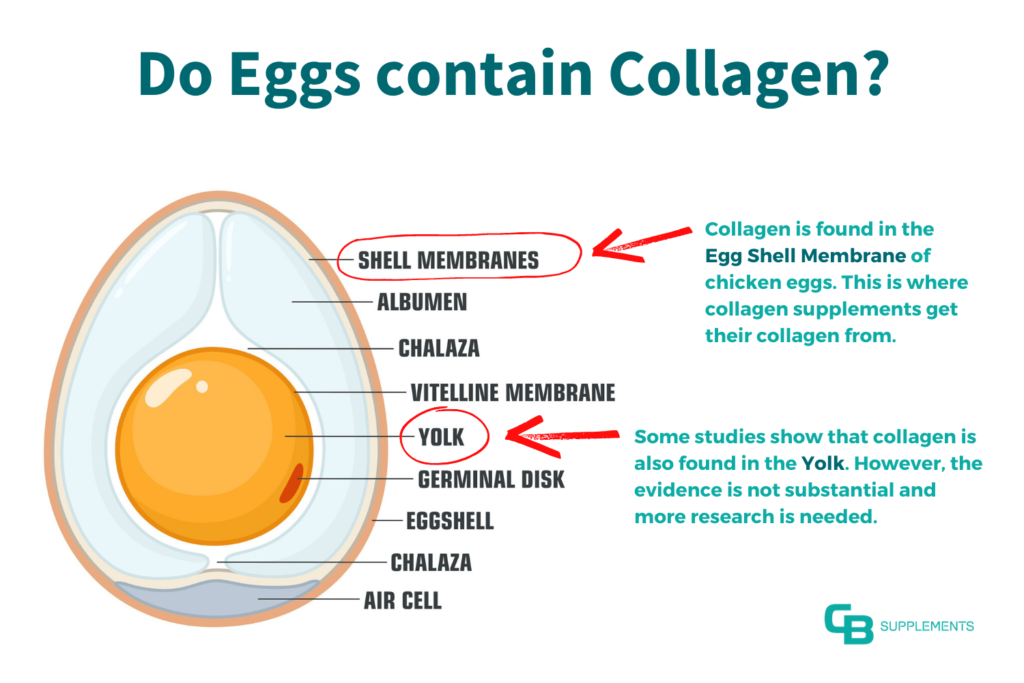 Does chicken produce collagen?