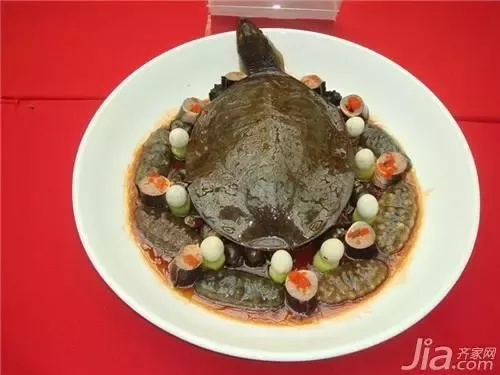 Does China eat turtle?