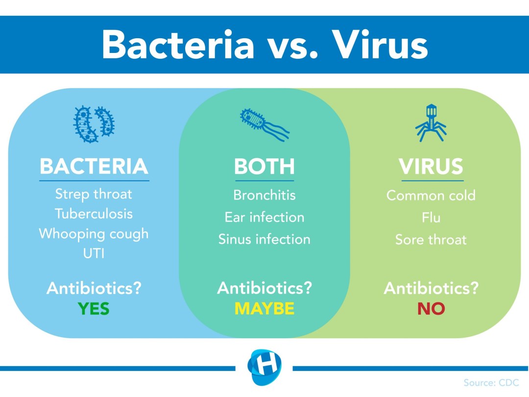 Does cold kill bacteria and viruses?
