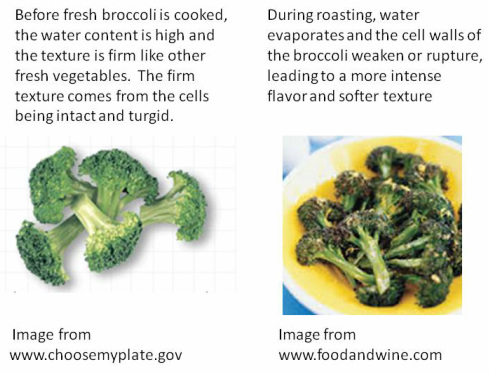 Does cooking method affect taste?