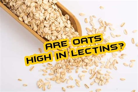 Does cooking oatmeal reduce lectins?