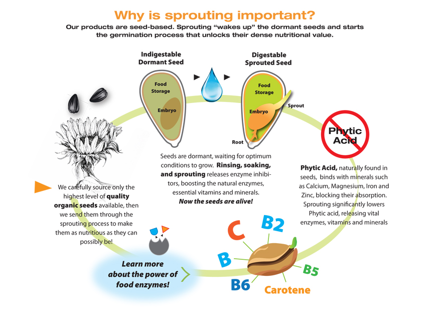 Does cooking oats destroy phytic acid?