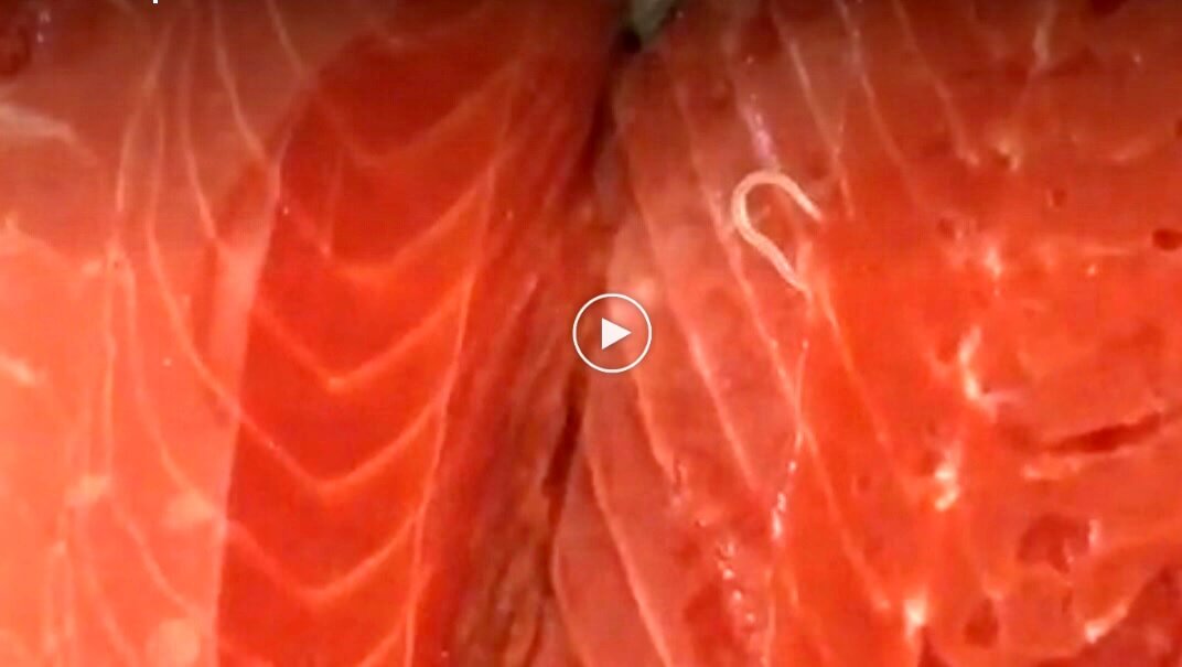 Does cooking salmon kill parasites?