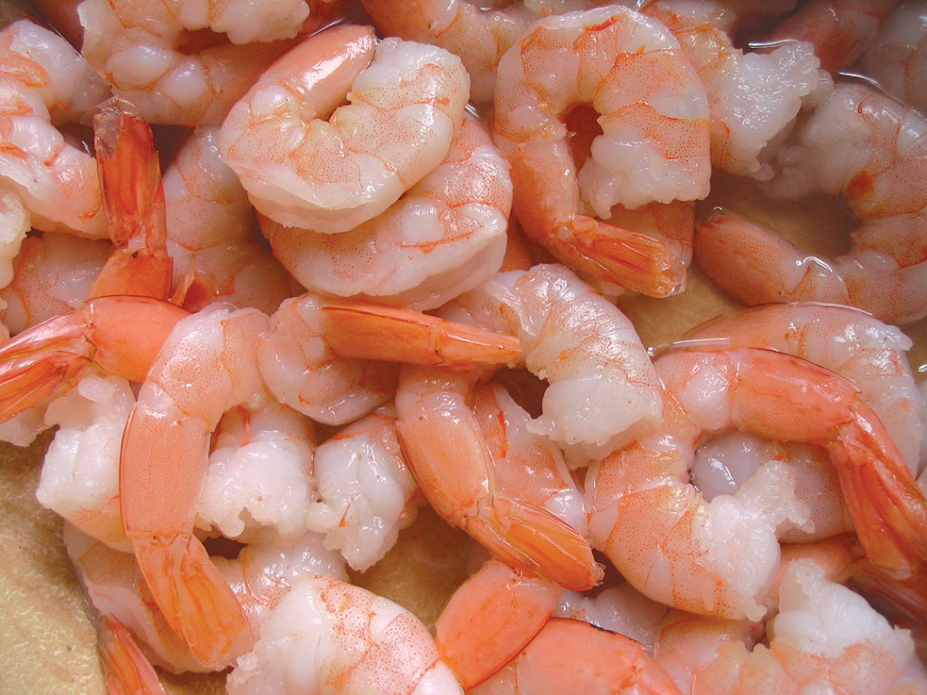 Does cooking shrimp kill salmonella?
